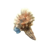 Starfish Seashells Sea Shell Beach Ceiling Fan or Light Pull Chain ...