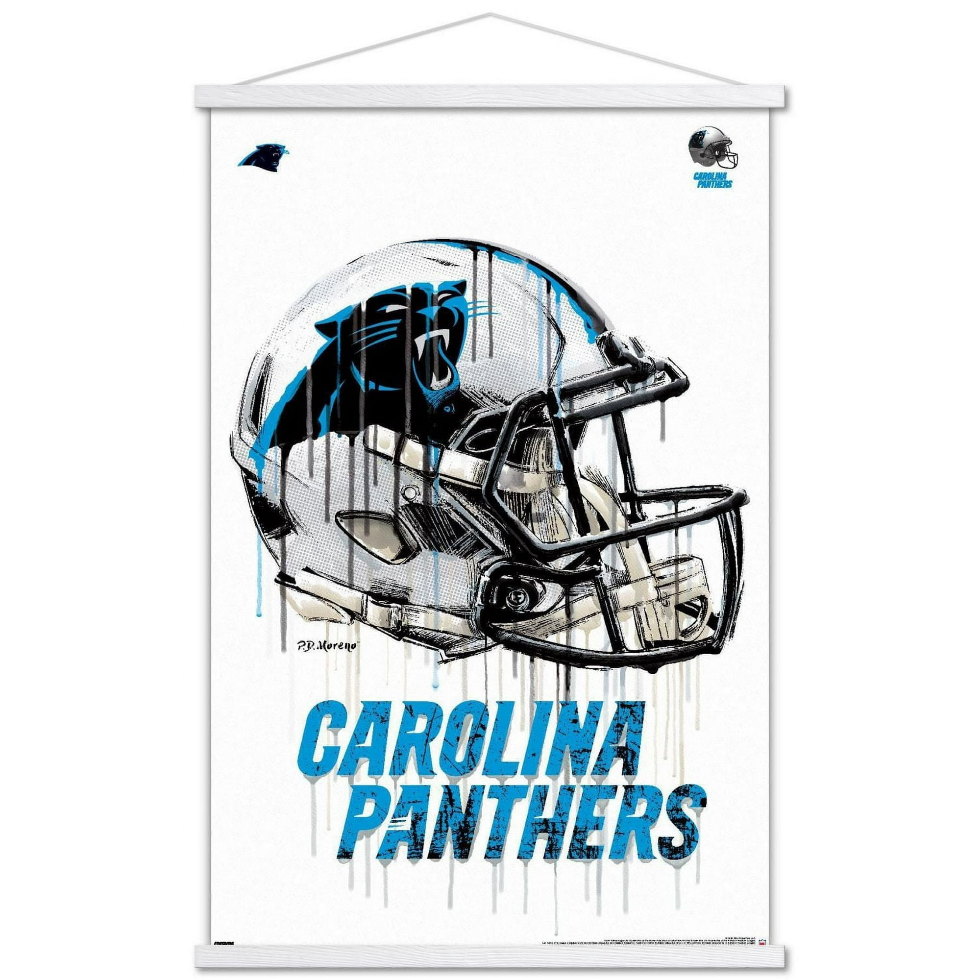 Click here for Trends International Nfl Carolina Panthers - Drip... prices