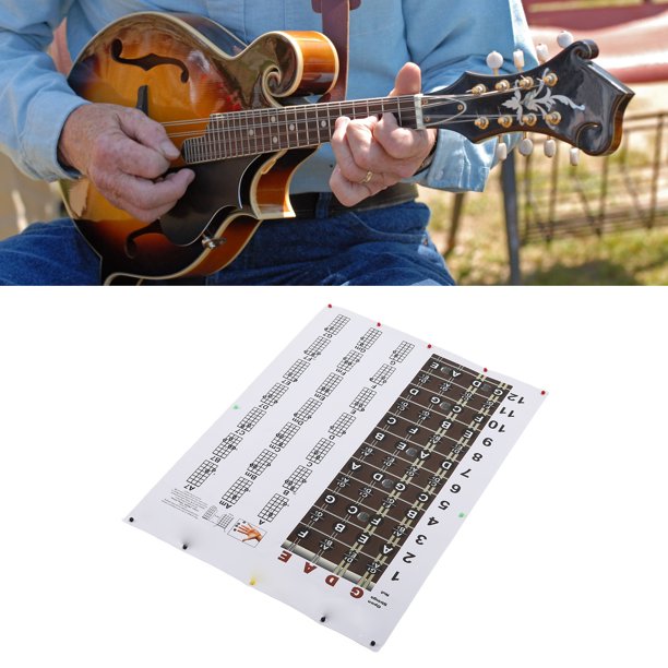 Mandolin Chord Chart Poster, Clearly Labeled Easy To Read Mandolin ...