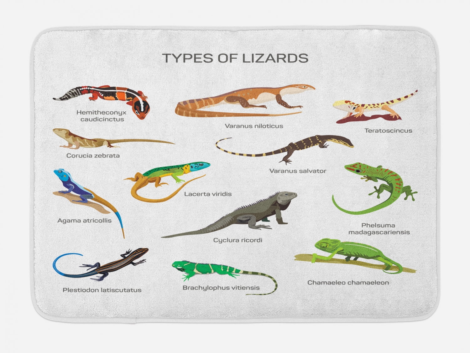 Reptile Bath Mat, Lizard Family Design on Plain Background Primitive ...