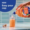 Free Shipping! Softsoap Antibacterial Liquid Hand Soap Refill, Crisp ...