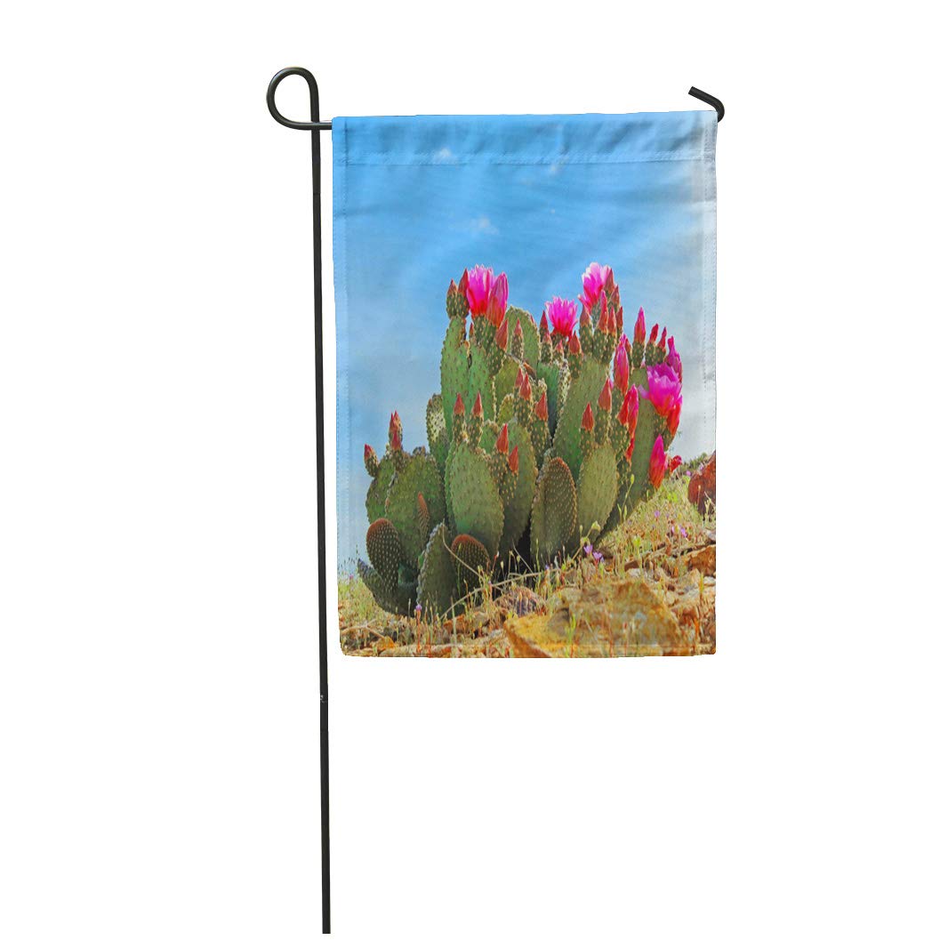 KDAGR Red Bloom Prickly Pear Cactus Blooming Cacti Southwest Garden ...