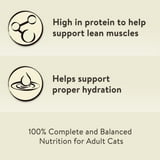 Special Kitty Beef Flavor Gravy Sliced Wet Cat Food, 5.5 oz. Can ...