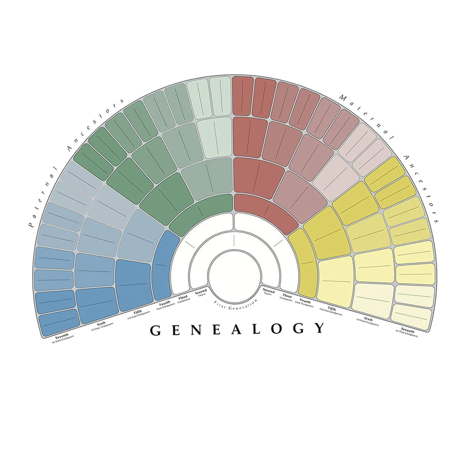 Diagrama de árbol Genealógico Grande Gráfico en Rellenable Historia ...