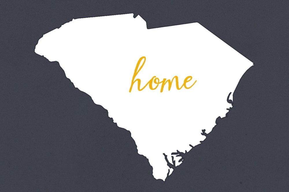 South Carolina, Home State, White on Gray (36x54 Giclee Gallery Art ...