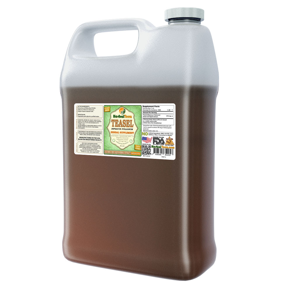 Teasel (Dipsacus fullonum) Glycerite, Dried Root Alcohol-FREE Liquid ...