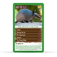 North american Wildlife Top Trumps - Walmart.com