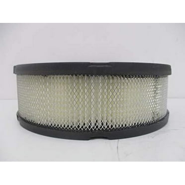 John Deere Original Equipment Filter Element - AM31400 - Walmart.com