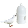 Bird Waterer Automatic for Water Feeder Drinker with Handle Portable ...