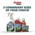 ProSol Works - All Purpose Cleaner Spray 4oz With Empty Cleaning Spray ...