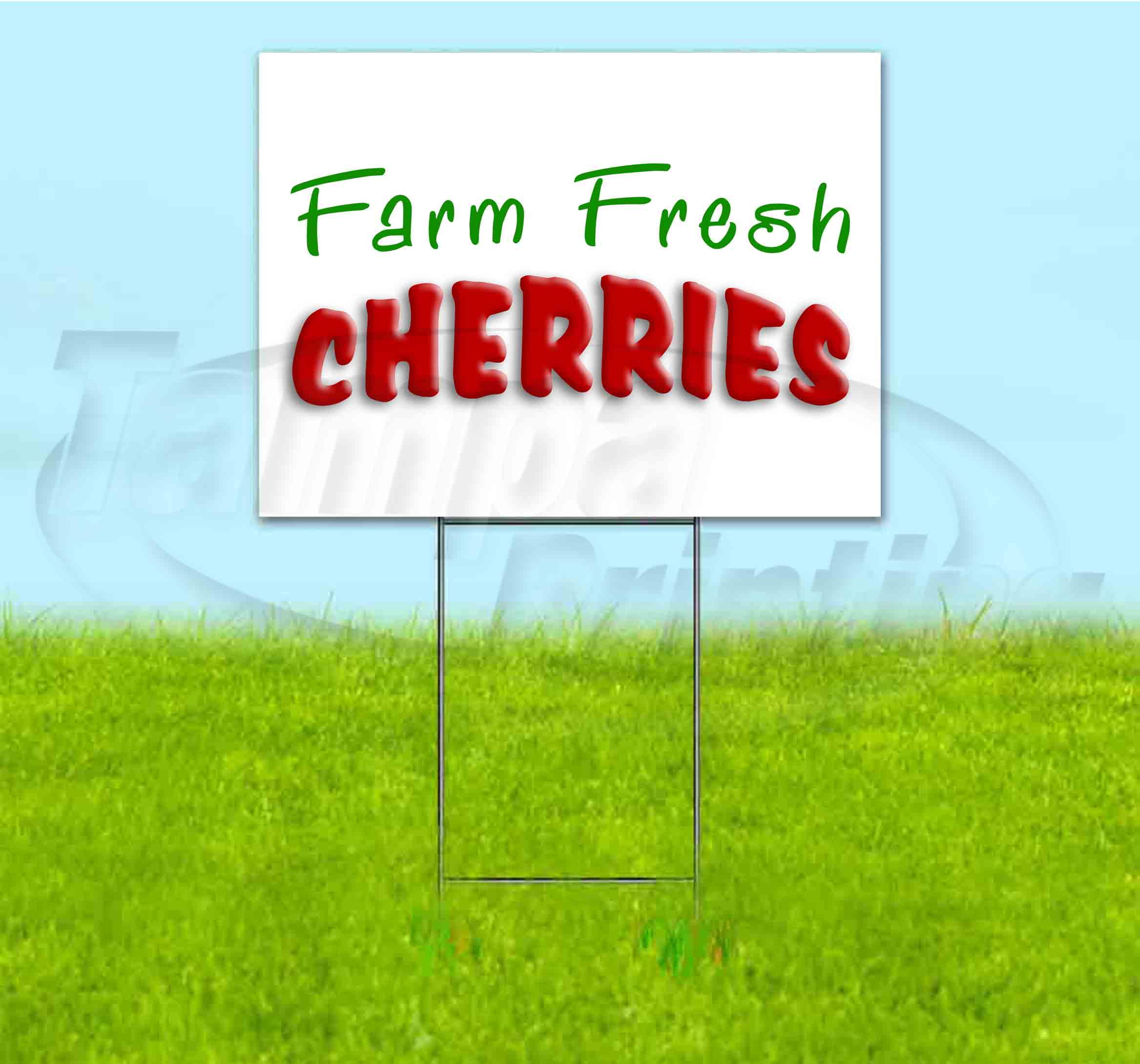 Farm Fresh Cherries (18" x 24") Yard Sign, Includes Metal Step Stake ...