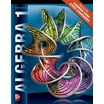 Merrill Algebra 1 Algebra 1, Student Edition, (Hardcover) - Walmart.com