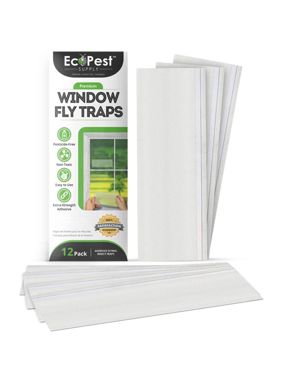 Fly Trap in Fly - Walmart.com