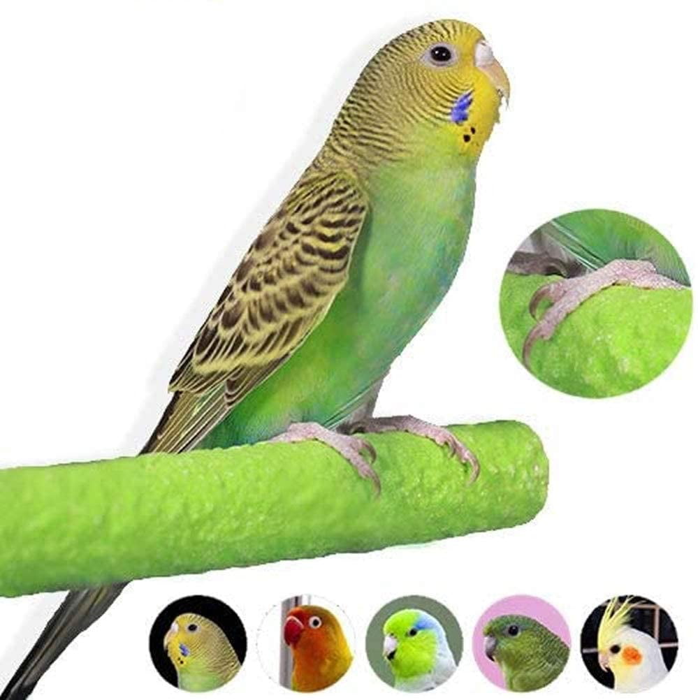 Buy 4 Color$Colorful Bird Perch Stand Platform Natural Wood Playground ...