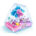 Canal Toys - So Magic DIY - Medium Magic Terrarium Kit - Cosmic Edition ...