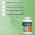 2Pack Emma Gut Health - 120 Count (60 Caps Per Bottle) - Konsciens Keto ...