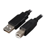 StarTech.com USB2HAB10 10 ft. USB 2.0 Certified A to B Cable - M/M - 10 ...