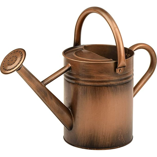 Watering Can - Metal Watering Can With Removable Spout, Perfect Plant ...