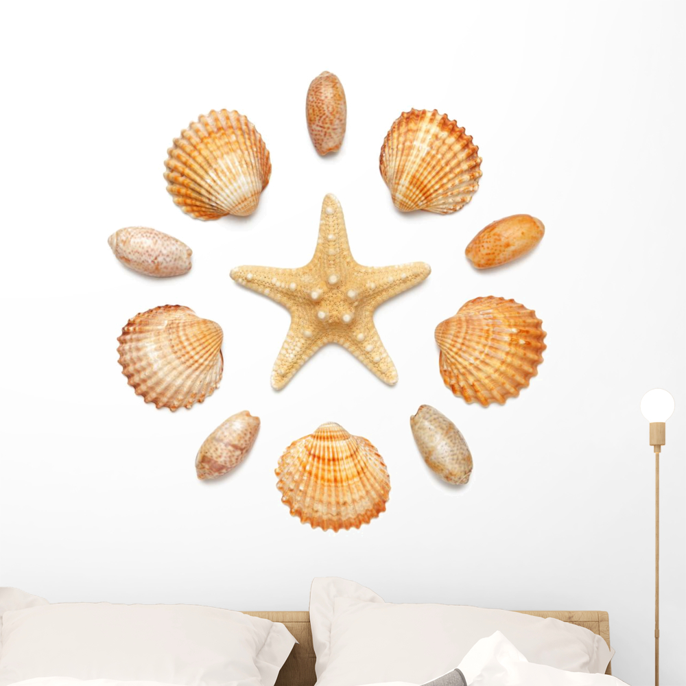 Circle Sea Shells Wall Decal Sticker Set Wallmonkeys Peel and Stick ...