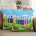 Cartoon Cute Throw Pillow Covers 20 x 20 Inch Pillow Covers Set of 2 ...