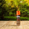 Repel Insect Repellent Hunter's Earth Scent Aerosol, 6.5-Ounce ...