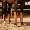4Pcs Fine Meshes Loose Horse Boot Meshes Horse Fly Leggings Breathable ...