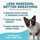 BestLife4Pets Cat Cold Supplement, Respiratory Aid for Sneezing ...
