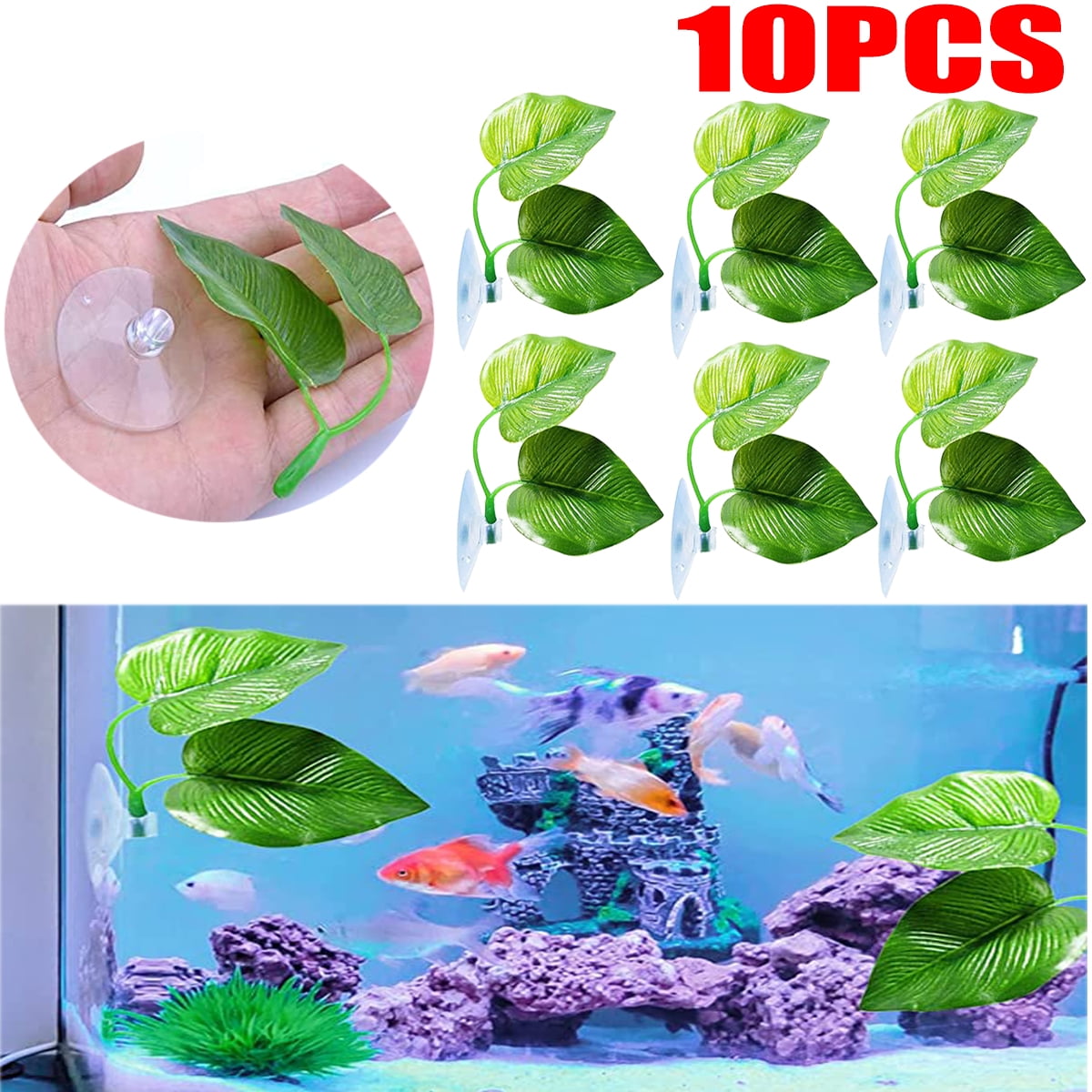 Betta Fish Centerpiece Ideas