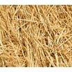 American Excelsior Premier Straw Erosion Control Lawn Cover, Ground ...