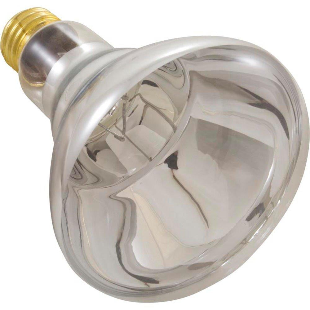 Pentair Company Bulb - 12V 100W 104026 - Walmart.com