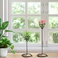 YUNLIGHTS 3pcs Tillandsia Stands Air Plant Holders Spiral Flower ...