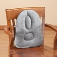 Posture Support Back Cushion – Designed for Back Pain Relief In Any ...