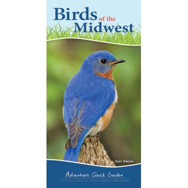 Adventure Quick Guides: Birds of the South: Your Way to Easily Identify ...