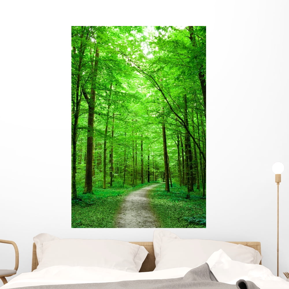 Green Nature Pathway Forest Wall Mural Decal Sticker, Wallmonkeys Peel ...