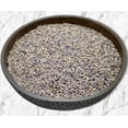 Organic Lavender flower Buds, 16 oz | Ultra quality with strong blue ...