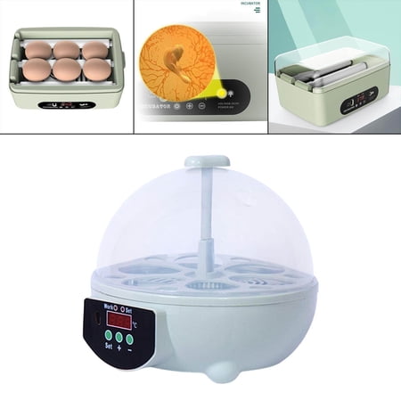 facefd Egg Incubator Manual Egg Turner Temperature Control with Light ...