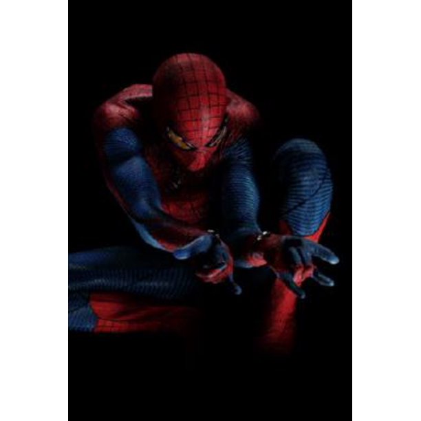 Spiderman Poster Giclee Print 27inx40in For Any Room 27x40 Multi Color