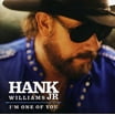 Hank Williams Jr. - Icon Series: Hank Williams Jr. (CD) - Walmart.com