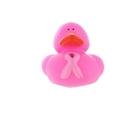 Fun Express Pink Ribbon Rubber Duckies, Breast Cancer Awareness Favors ...