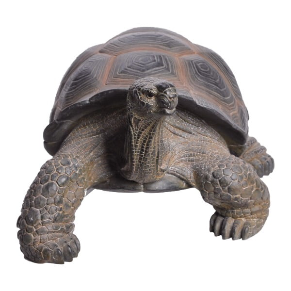 Pacific Giftware PT Realistic Look Statue Wildlife Walking Tortoise ...