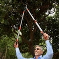27–41 Inch Telescopic Heavy-Duty Tree Loppers – Compound Action Branch ...