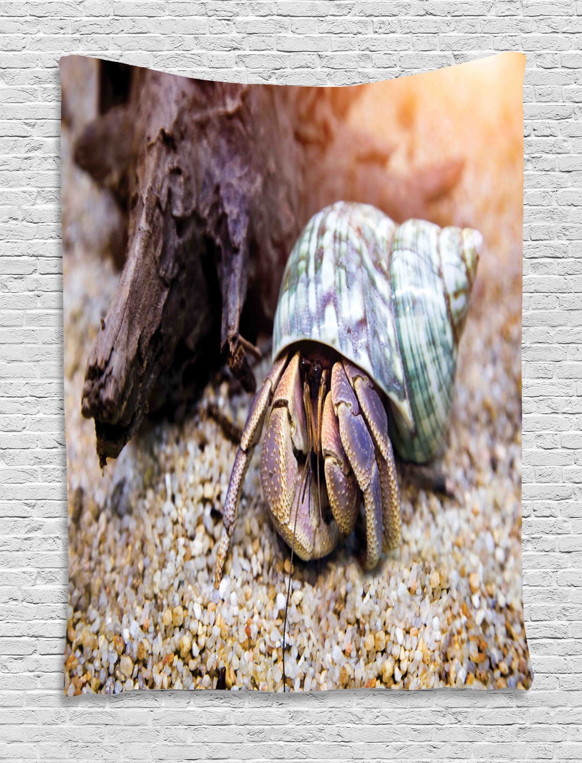 Hermit Crab Tapestry, Close Shot Real Life Image of a Tropical Creature ...