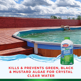 HTH Super Algae Guard 5-in-1: Algae Killer, Preventer, Pool Cleaner, 1 ...