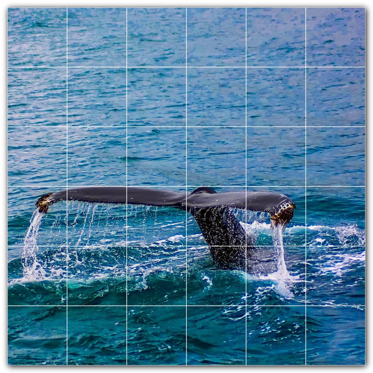 Picture-Tiles.com: Whale Ceramic Tile Wall Mural WAL501197-66XL. 72"W x ...