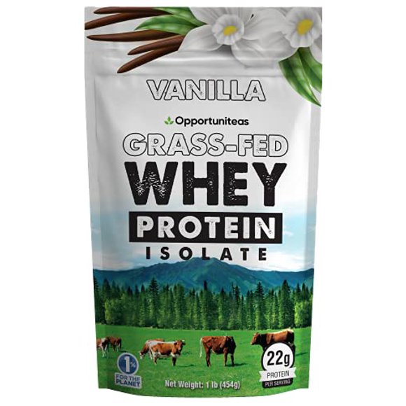 Protein Powder Without Sugar