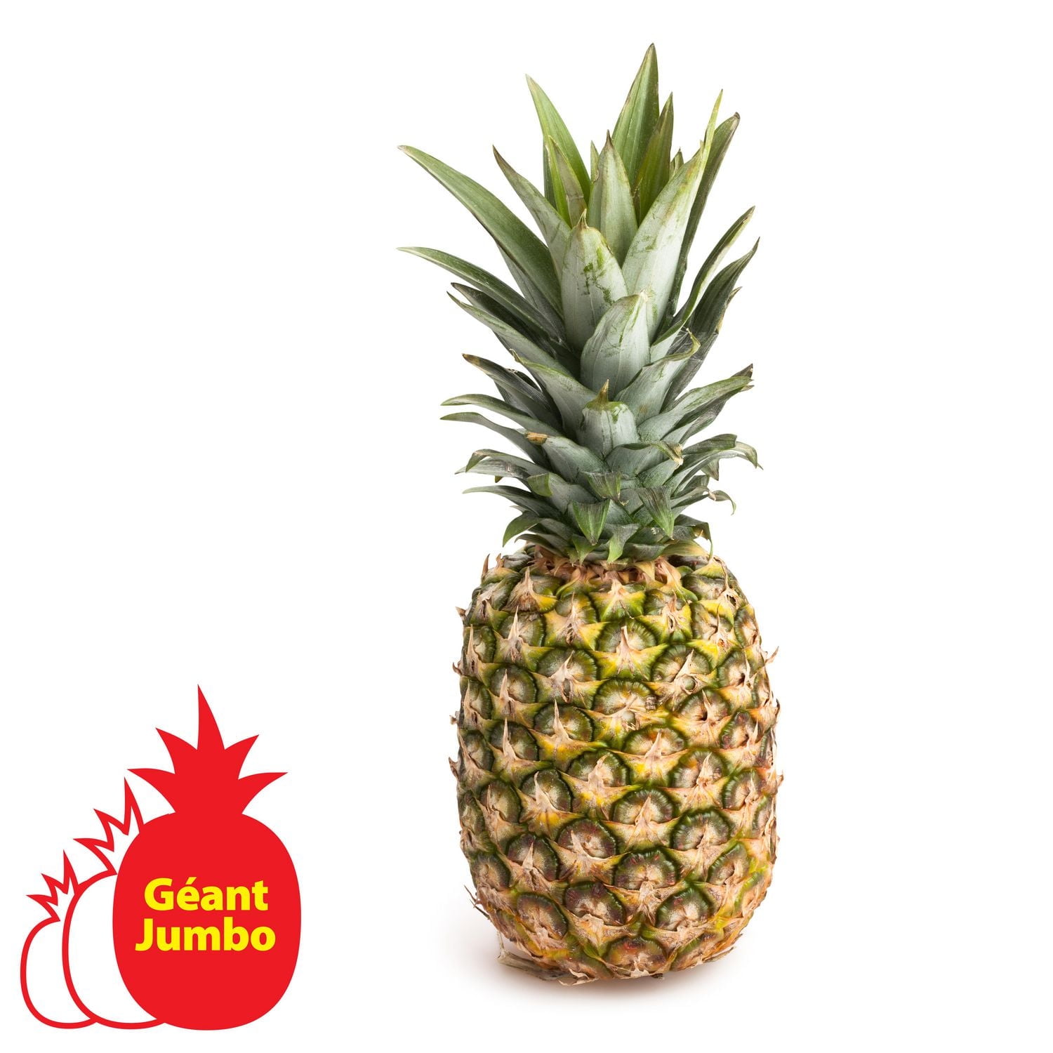Pineapple, Golden Jumbo - Walmart.ca