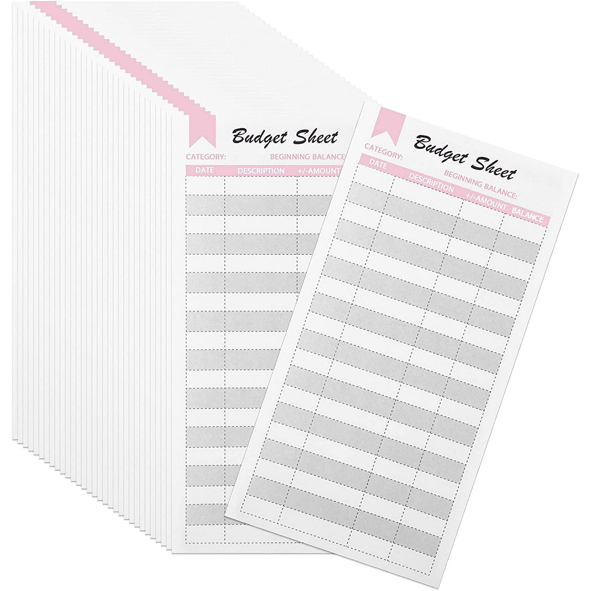 Ledger Cash Envelope System