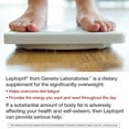 Generix Laboratories Leptopril Weight Loss Supplement, Fat Metabolism ...