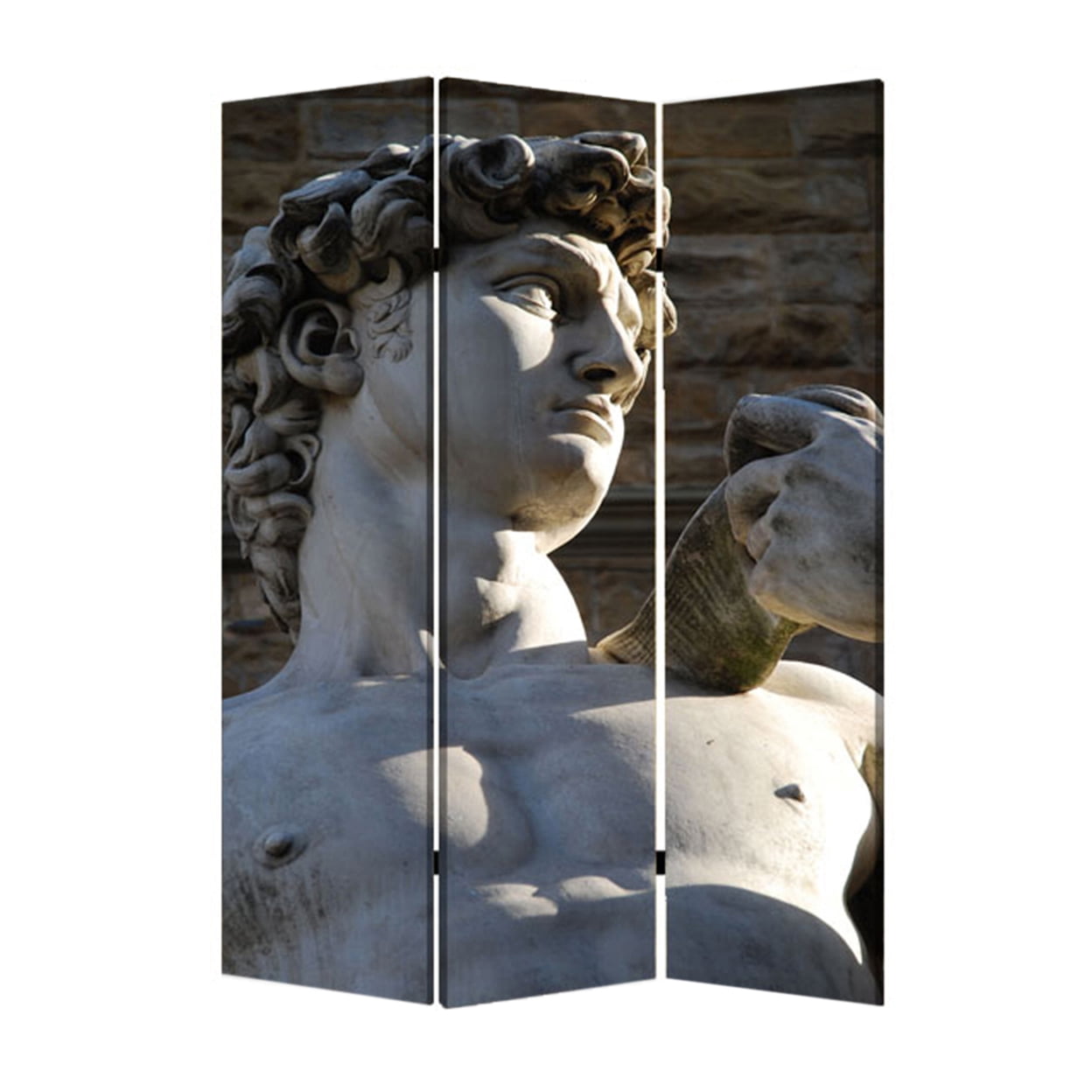 Contemporary Lightweight 3 Panel Rome Screen Room Divider With Two ...