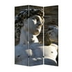 Contemporary 3 Panel Pine Layered Screen Room Divider - Walmart.com